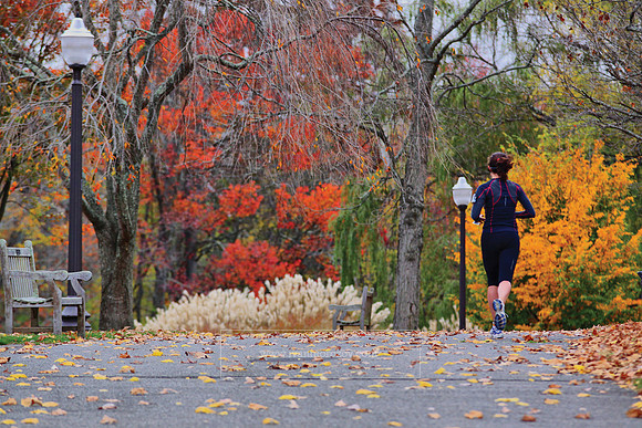 Ivan Morozov | Duck Pond | Fall colors at the Duck Pond, Virginia Tech.